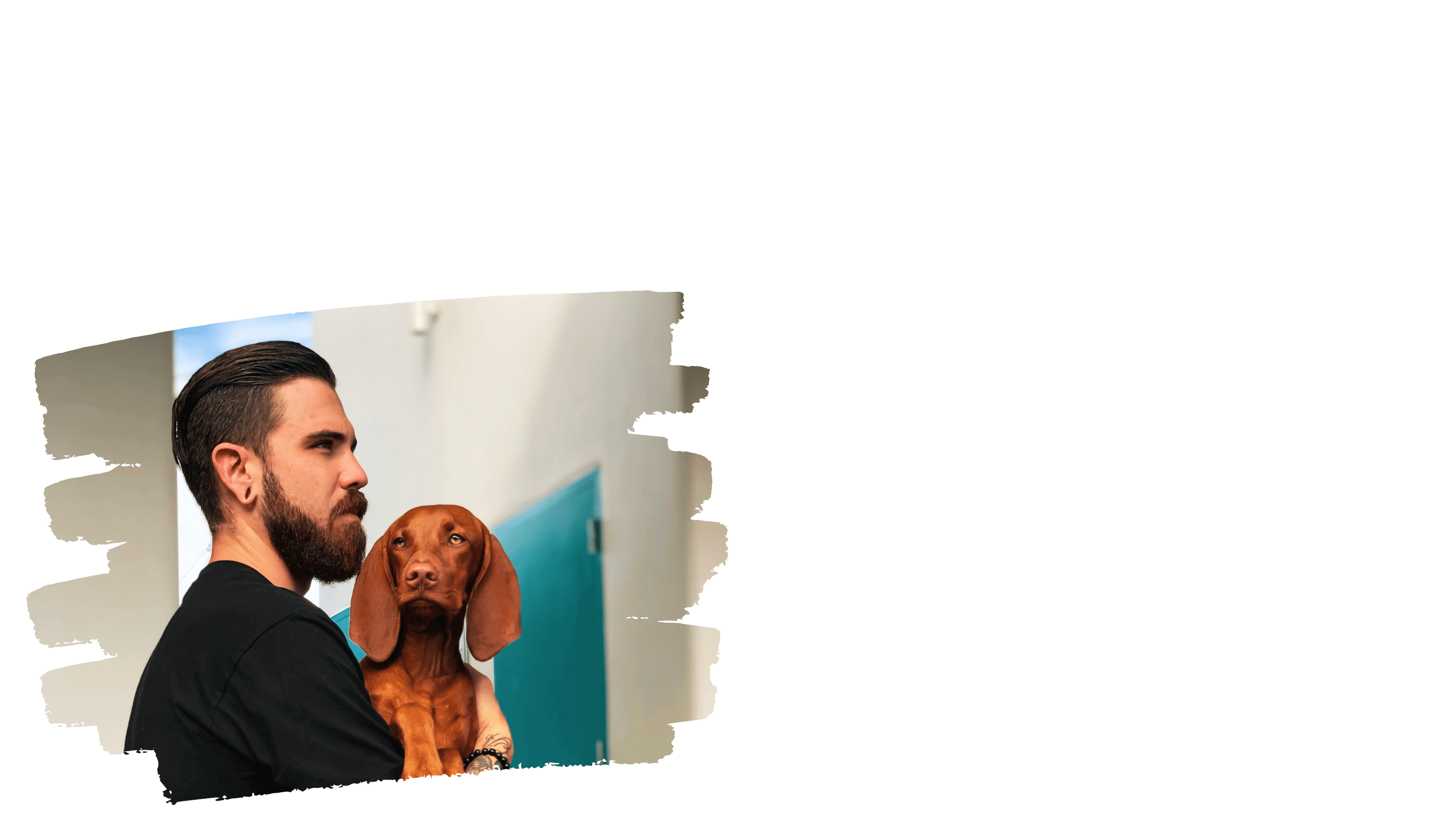 Happy Paws Online - Your One-Stop Shop for Pet Supplies & Accessories