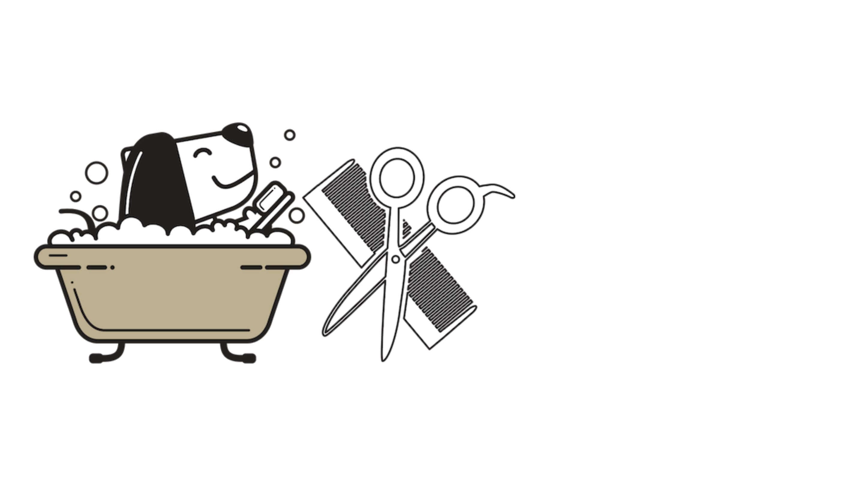 Happy Paws Online - Your One-Stop Shop for Pet Supplies & Accessories