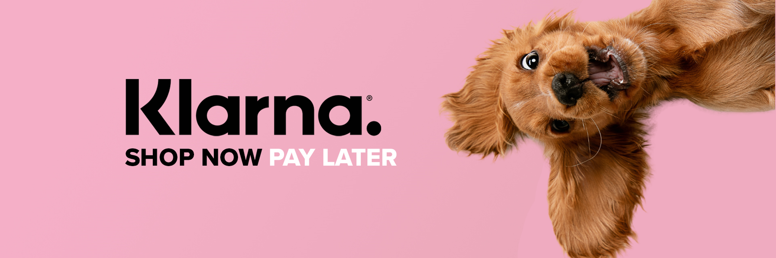 Happy Paws Online - Your One-Stop Shop for Pet Supplies & Accessories