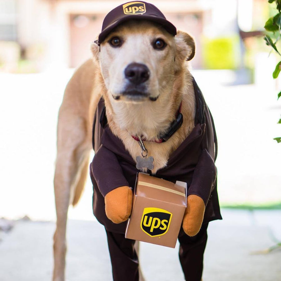 UPS dog costume, USPS Courier dog costume, Fun & cute dog costumes!
