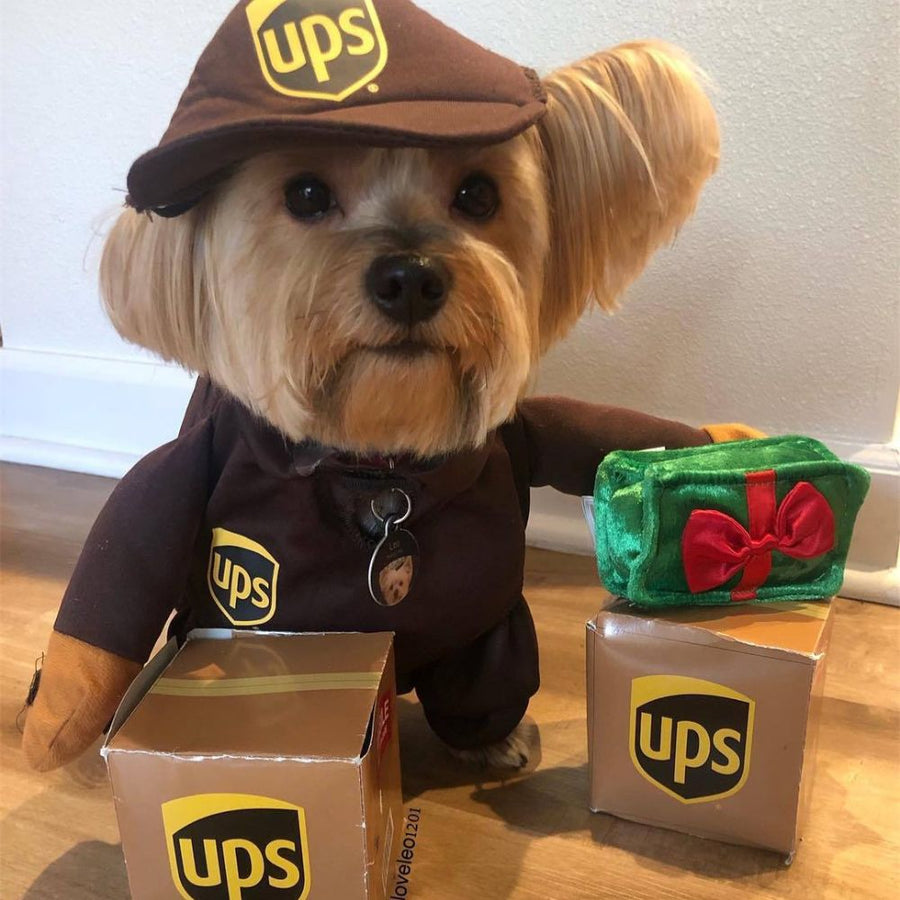 UPS dog costume, USPS Courier dog costume, Fun & cute dog costumes!