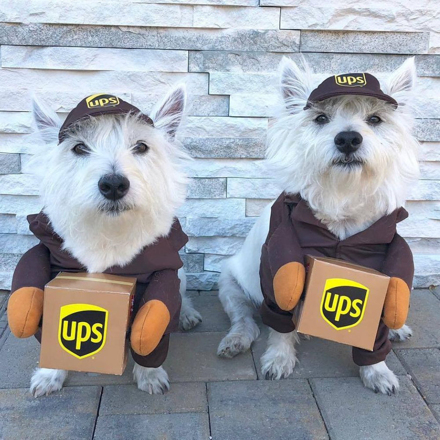 UPS dog costume, USPS Courier dog costume, Fun & cute dog costumes!