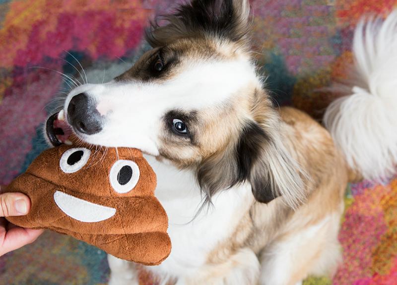 Soft Dog Toys | The Fun Plush Poop Emoji Toy | Happypawsonline.com