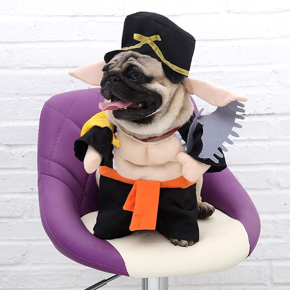 Dog party costume | Shaolin Warrior Pigsy | Happypawsonline.com