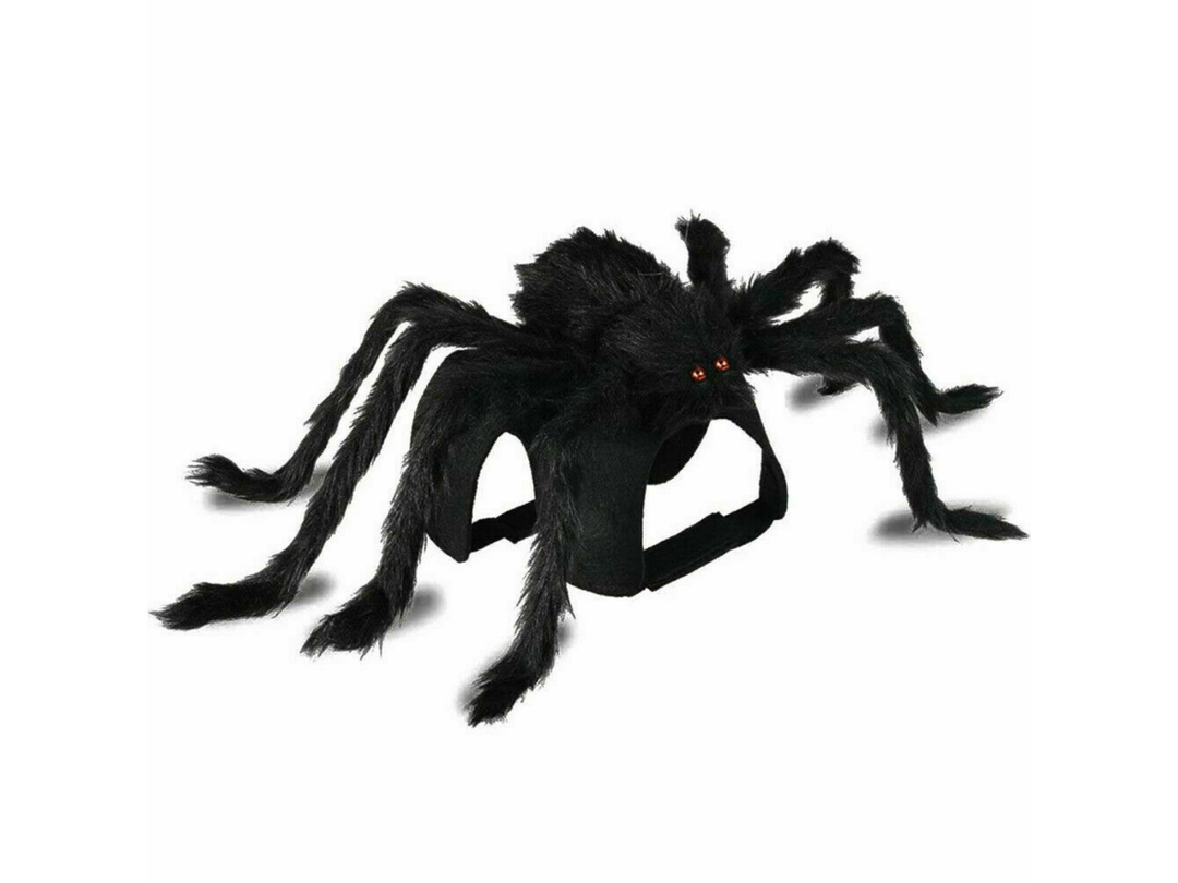 Spider dog costume, Halloween dog costume, Fun halloween costumes!