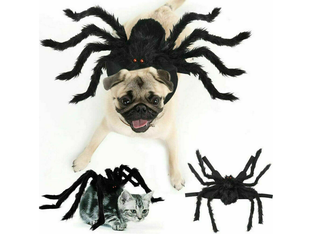 Spider dog costume, Halloween dog costume, Fun halloween costumes!