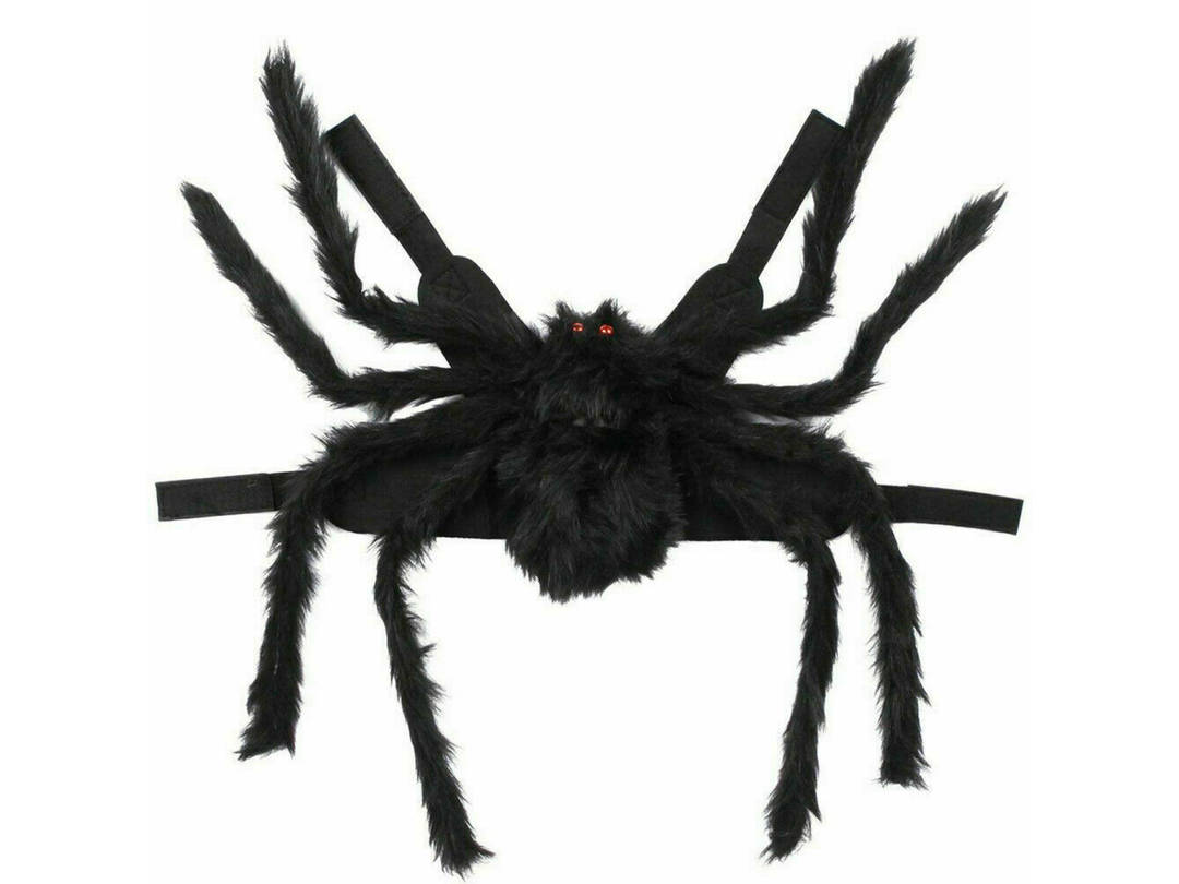Spider dog costume, Halloween dog costume, Fun halloween costumes!