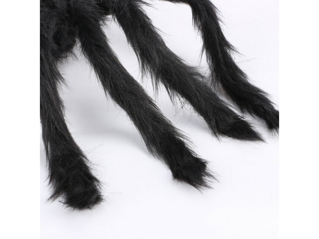 Spider dog costume, Halloween dog costume, Fun halloween costumes!